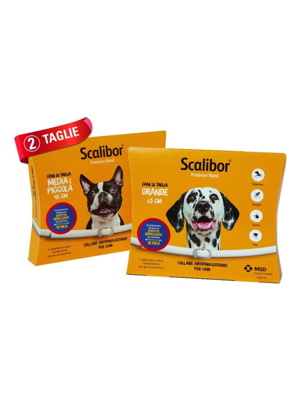 SCALIBOR PR.BAND 65CM BI VET